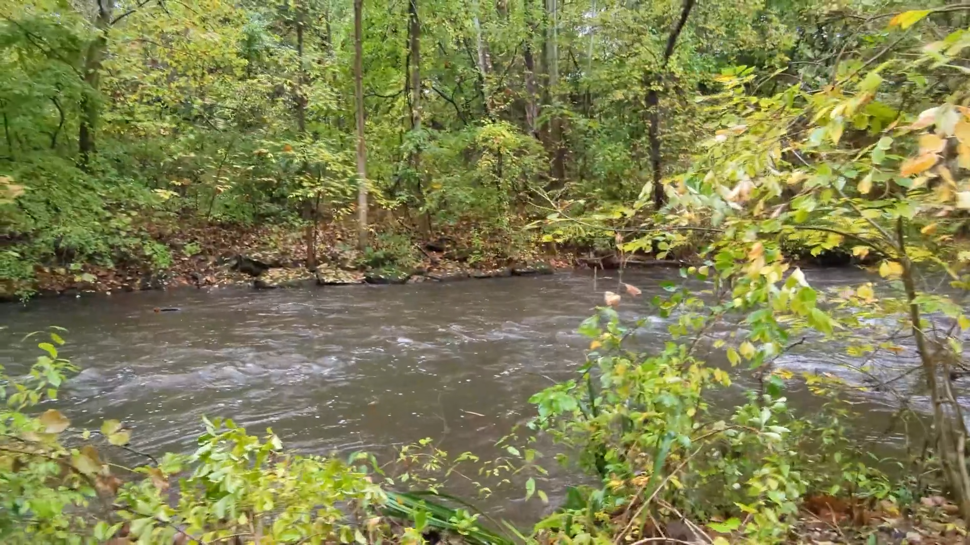 Spring Lake Trail - Town of Perinton