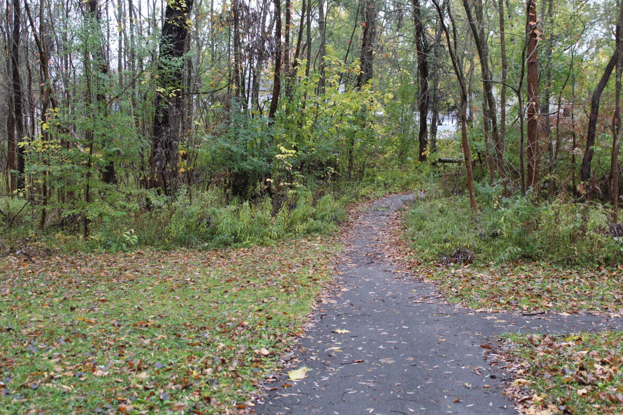 Beechwoods Trail - Town of Perinton