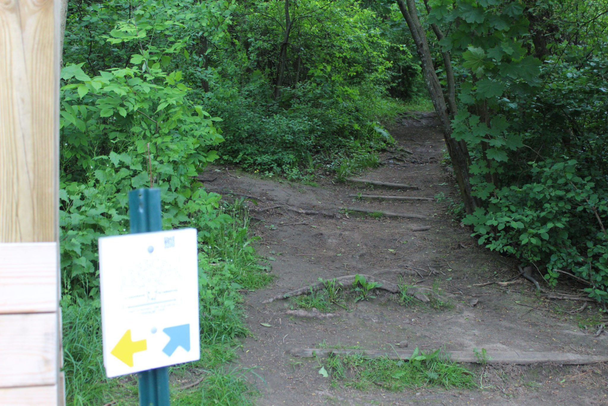 Indian Hill Trail - Town of Perinton