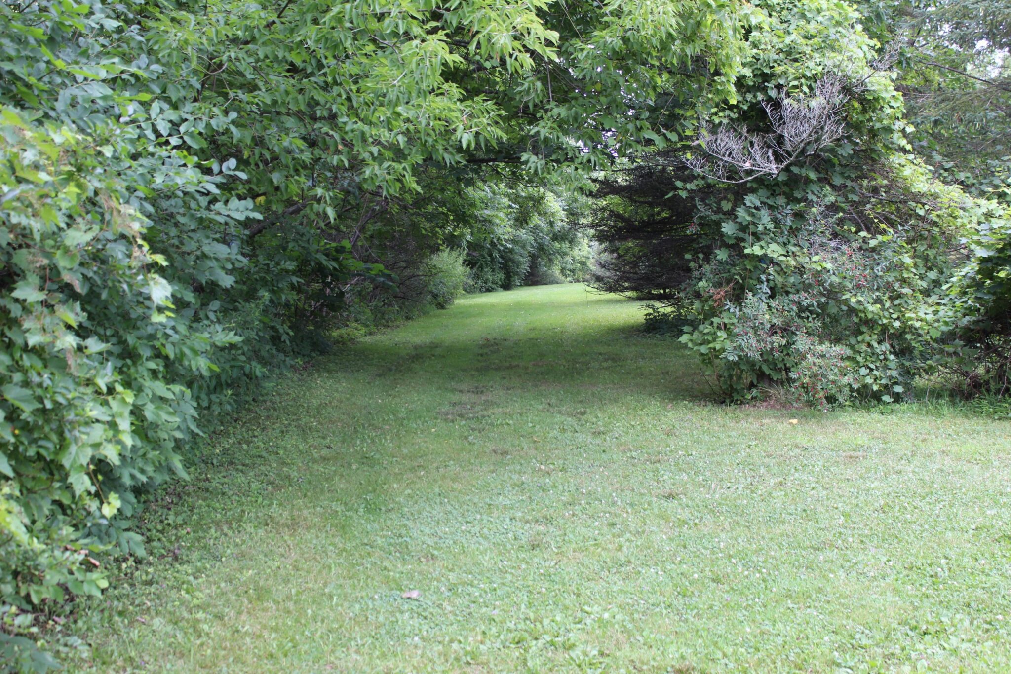 Recreation and Parks - Town of Perinton